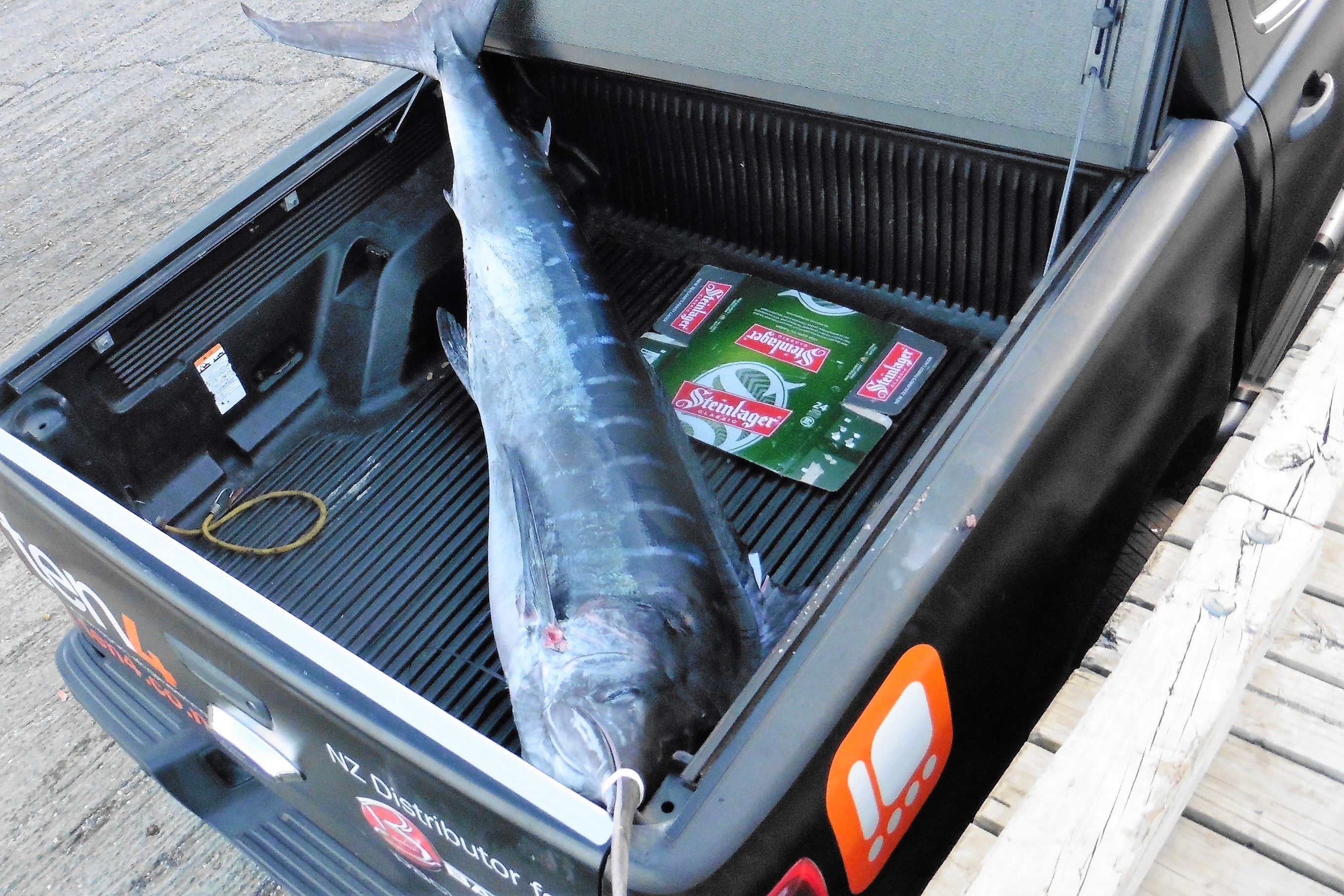 Living on the hard in Opua, New Zealand | Morpheus of London – Richard ...