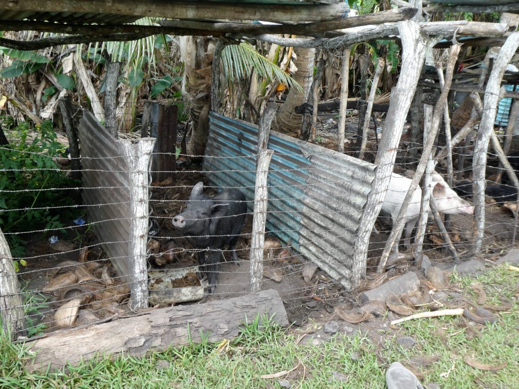 New Caledonia: Lifou and Ouvea, Loyalty Islands | Morpheus of London ...
